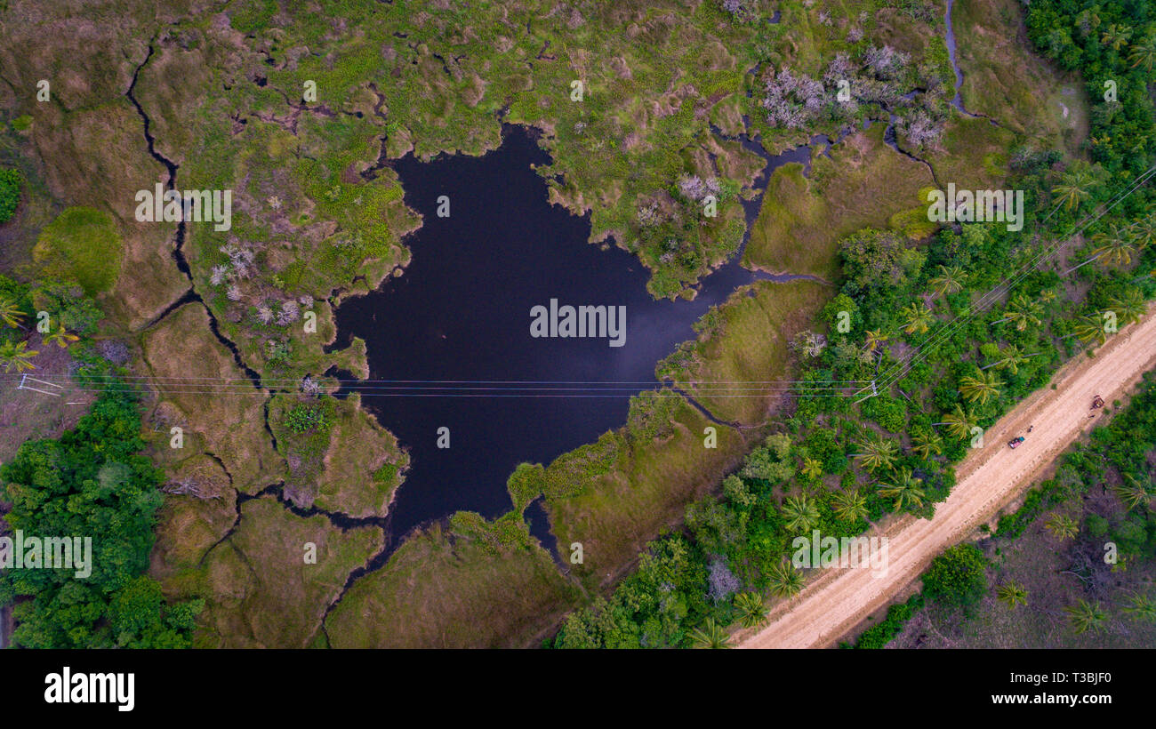 hippo pool at Mafia island Stock Photo - Alamy