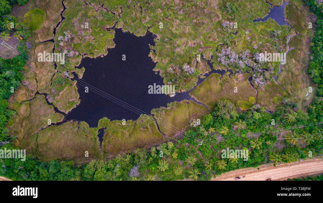 hippo pool at Mafia island Stock Photo - Alamy