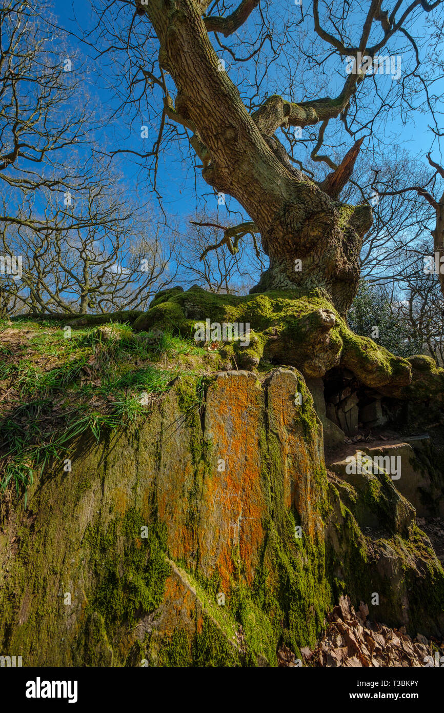 Pre cambrian granite hi-res stock photography and images - Alamy
