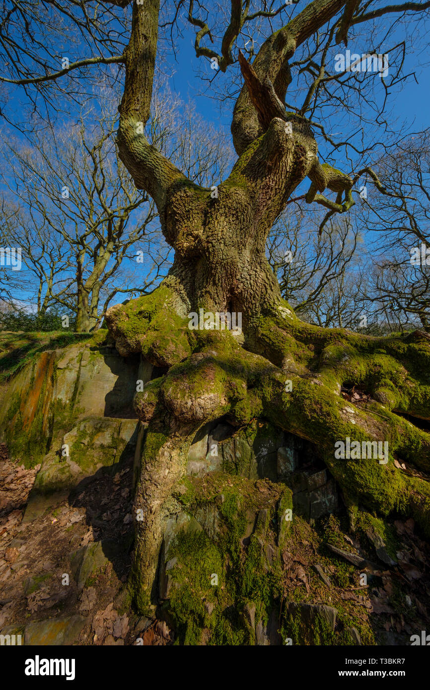 Pre cambrian granite hi-res stock photography and images - Alamy