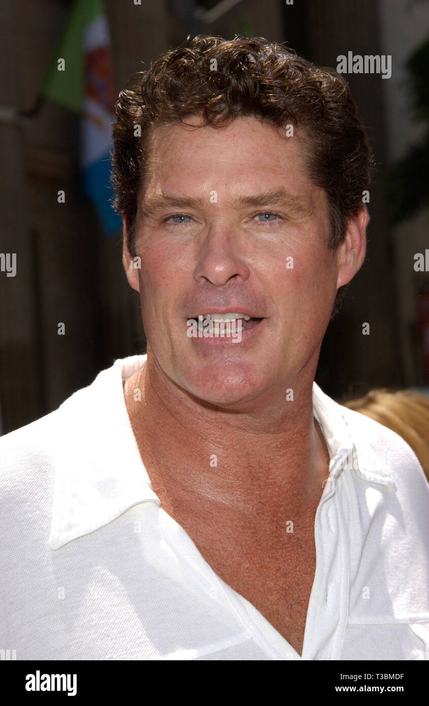 LOS ANGELES, CA. July 29, 2001: Actor DAVID HASSELHOFF at the world ...