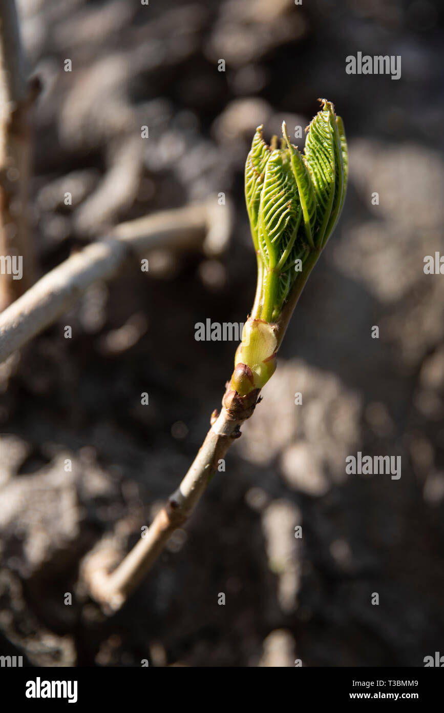 Hatch end hi-res stock photography and images - Alamy