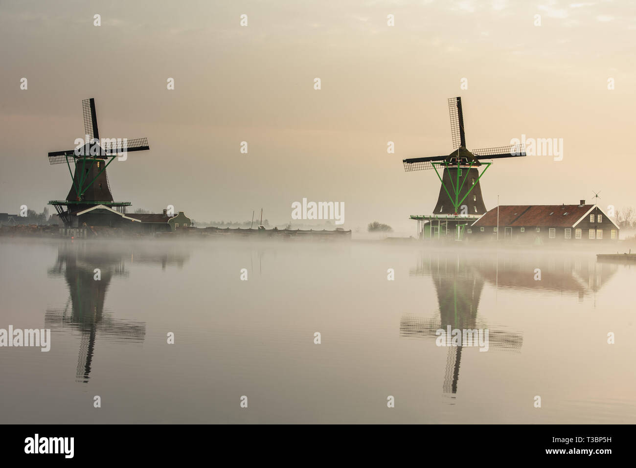 Three windmills in Zaanse Schans close to river in a sunrise with fog ...