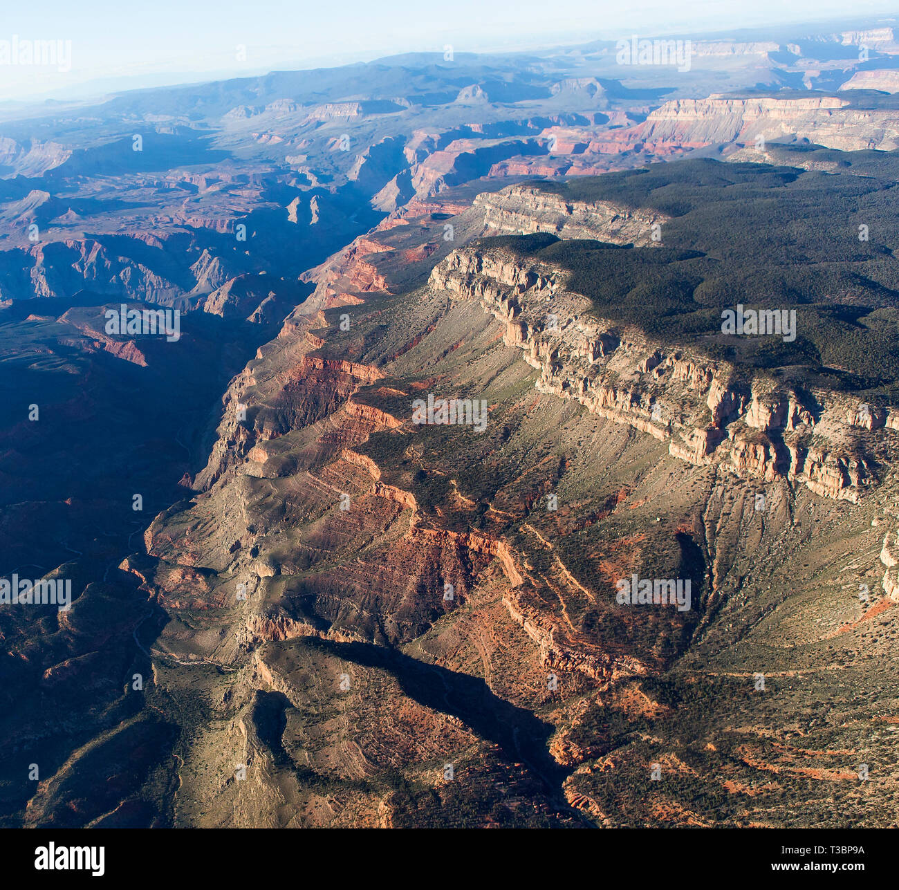Aerial view of Colorado grand canyon, Arizona, usa Stock Photo - Alamy