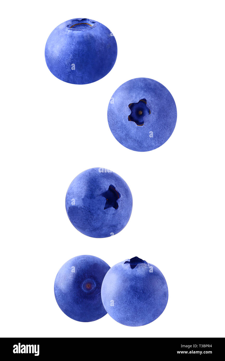 Flying blueberry isolated on white background with clipping path as ...