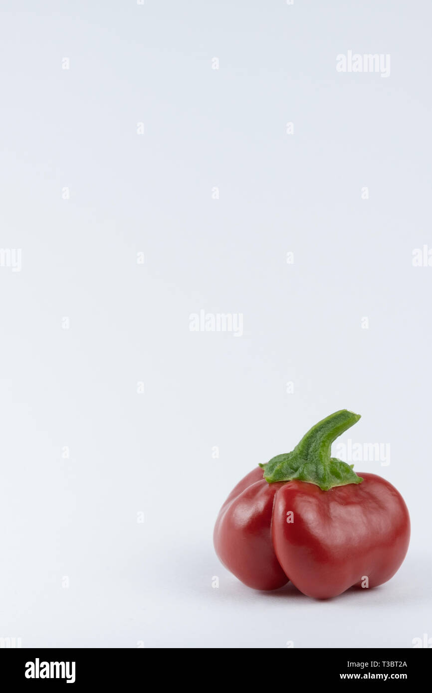 Closeup image of a red capsicum on a white background Stock Photo - Alamy