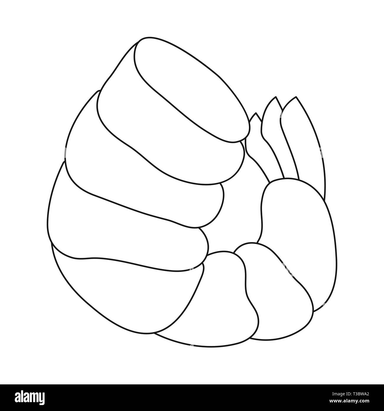 underwater,atlantic,happy,aquatic,shrimp,crab,food,sea,prawn,raw,cooked ...