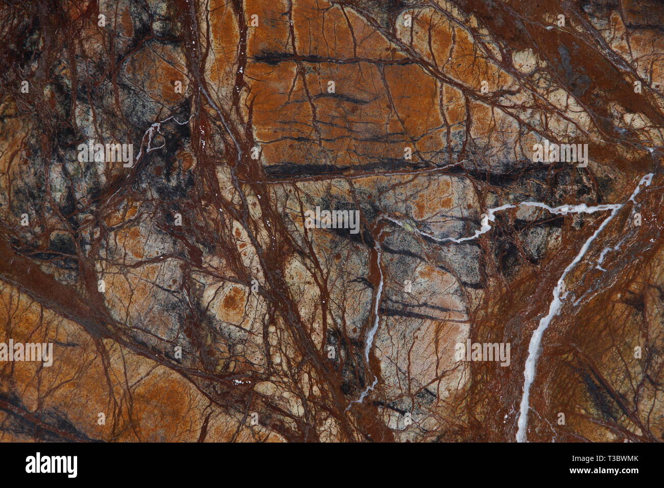 Marble background, natural stone of bright color with branched veins is ...