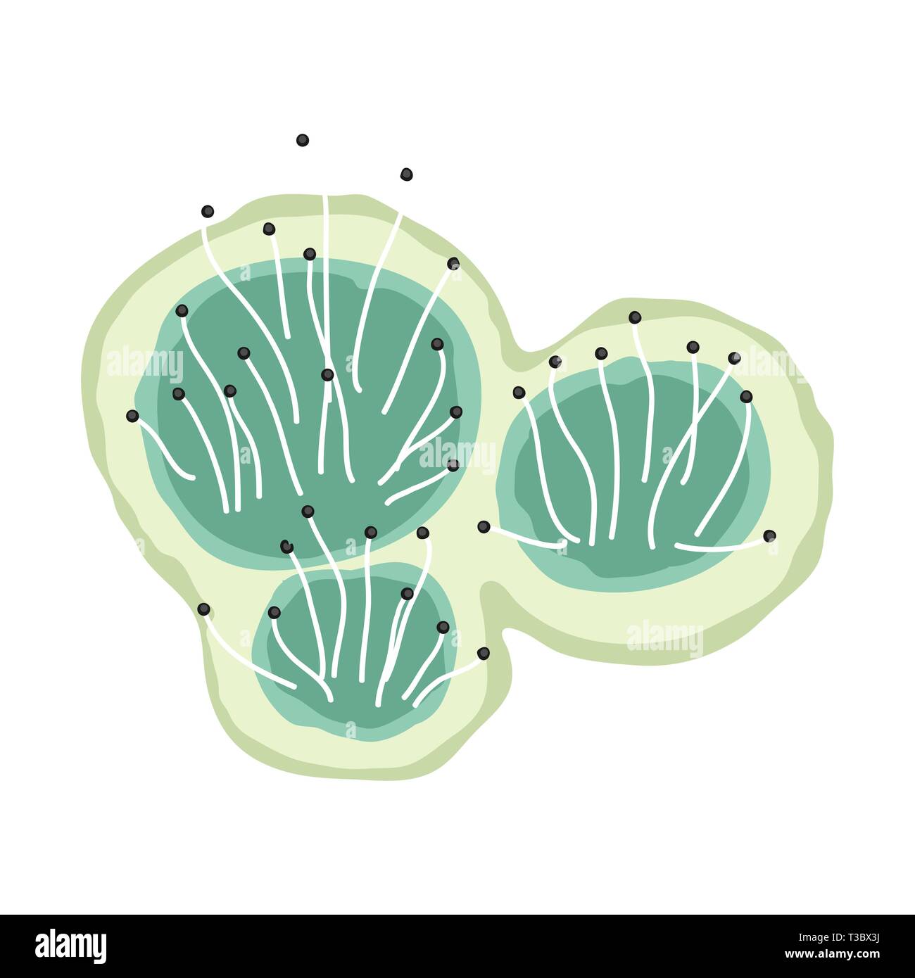 Green mold icon. Illustration solated on white background Stock Vector ...
