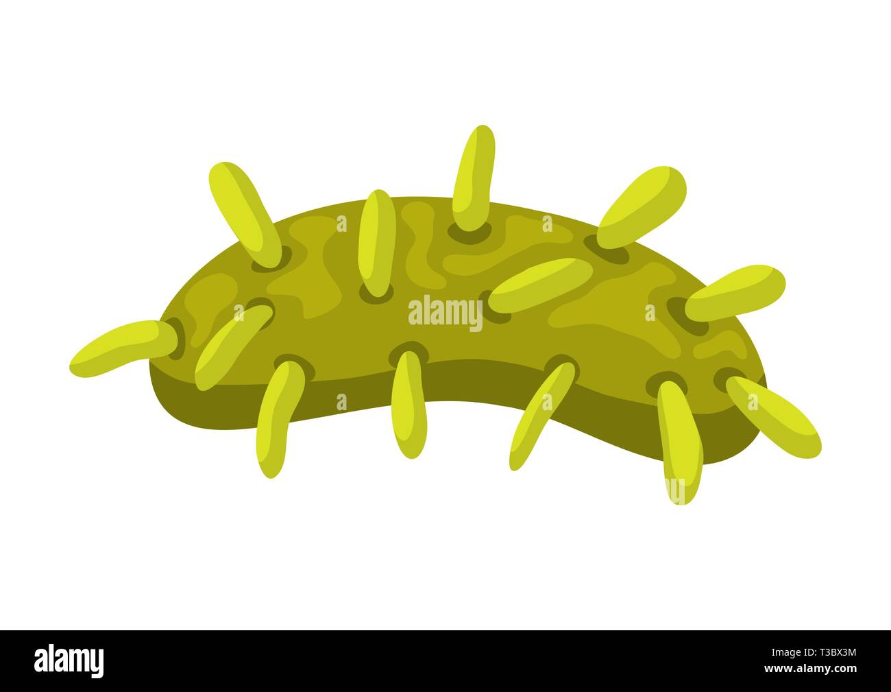 Bacterium illustration hi-res stock photography and images - Alamy