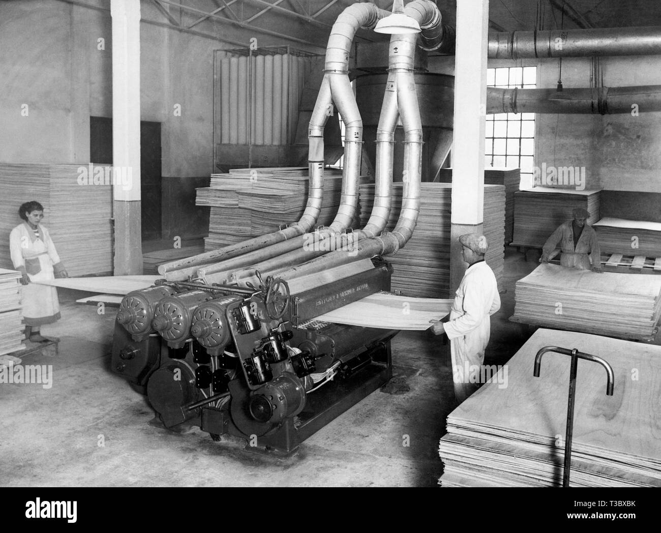 Sawmill workers hi-res stock photography and images - Alamy