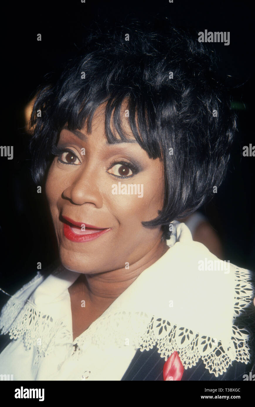 Ivy Lebelle's Instagram, Twitter & Facebook on IDCrawl