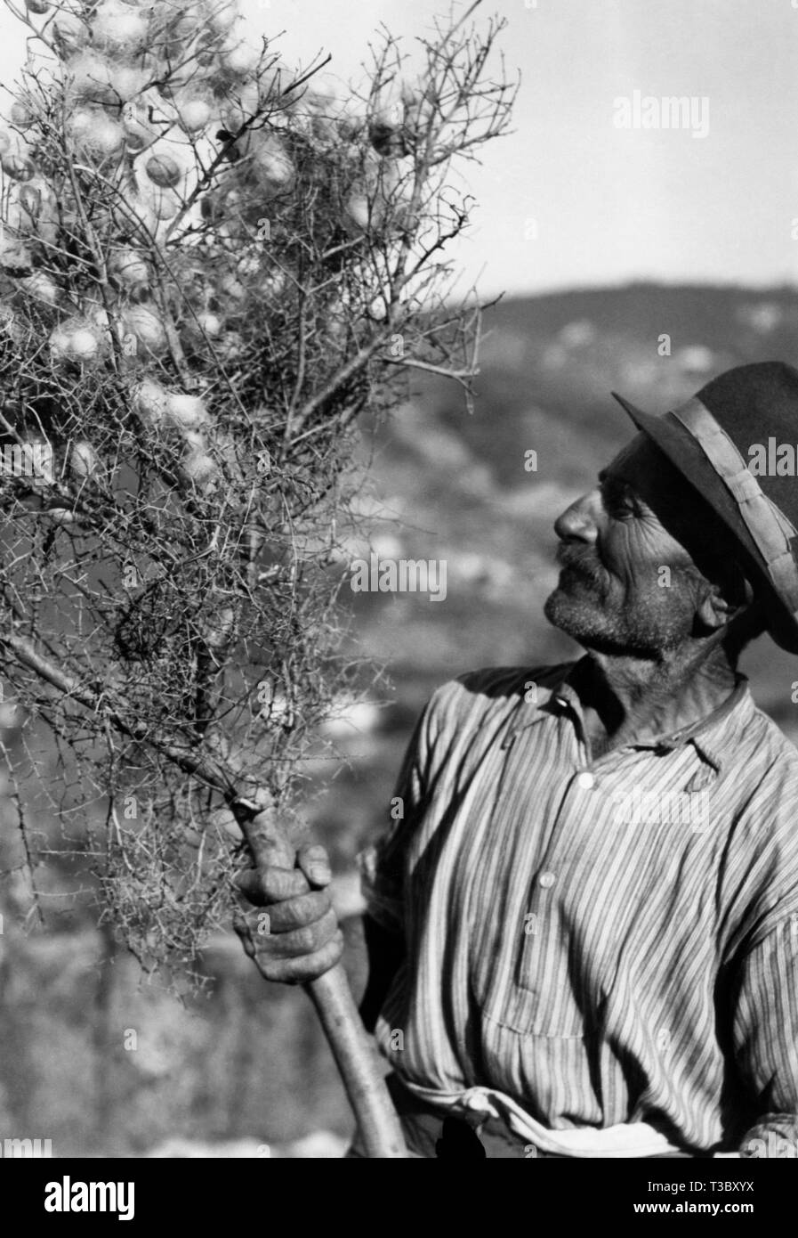 Sericulture century Black and White Stock Photos & Images - Alamy