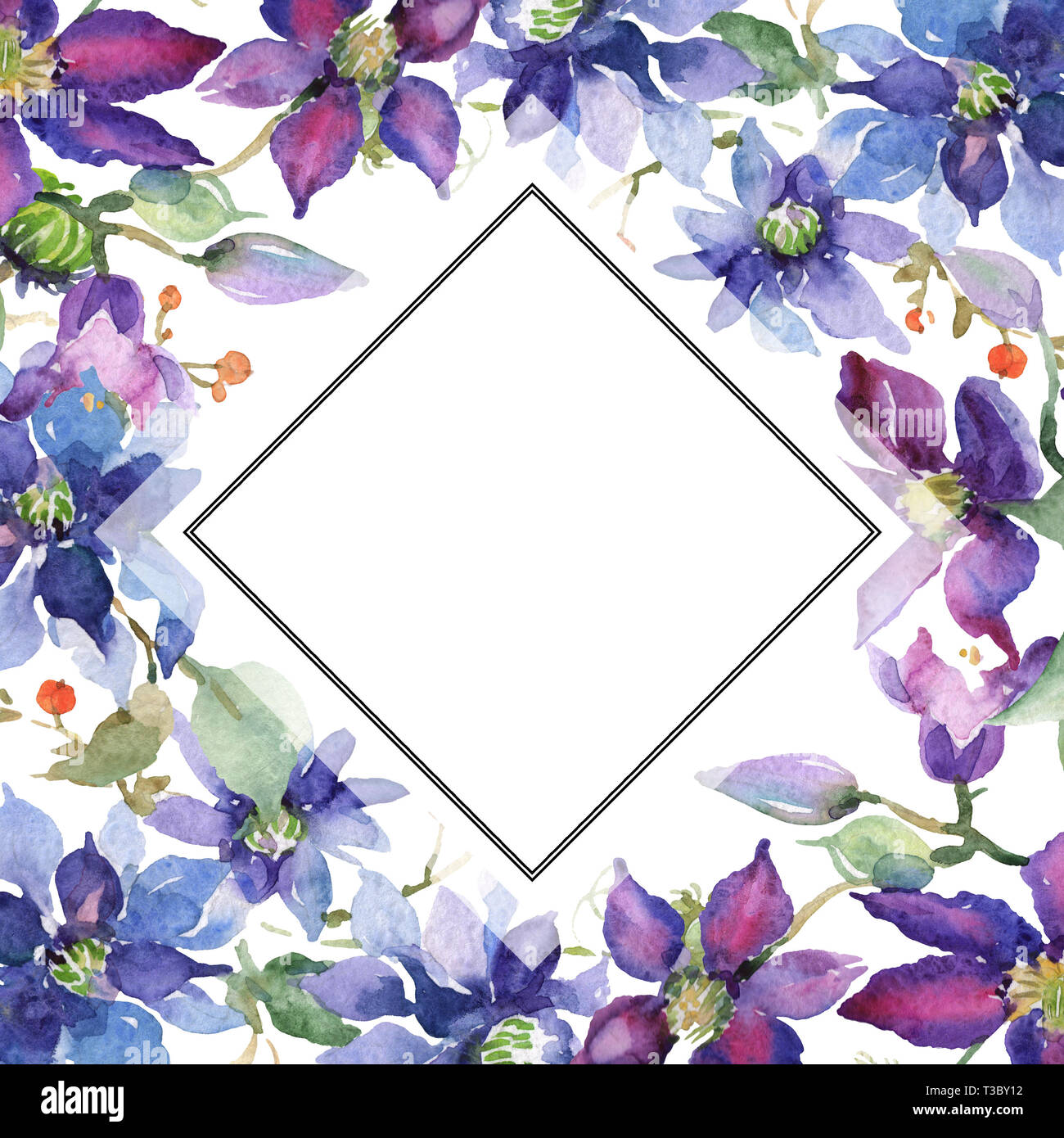 Clematis bouquet floral botanical flowers. Watercolor background ...