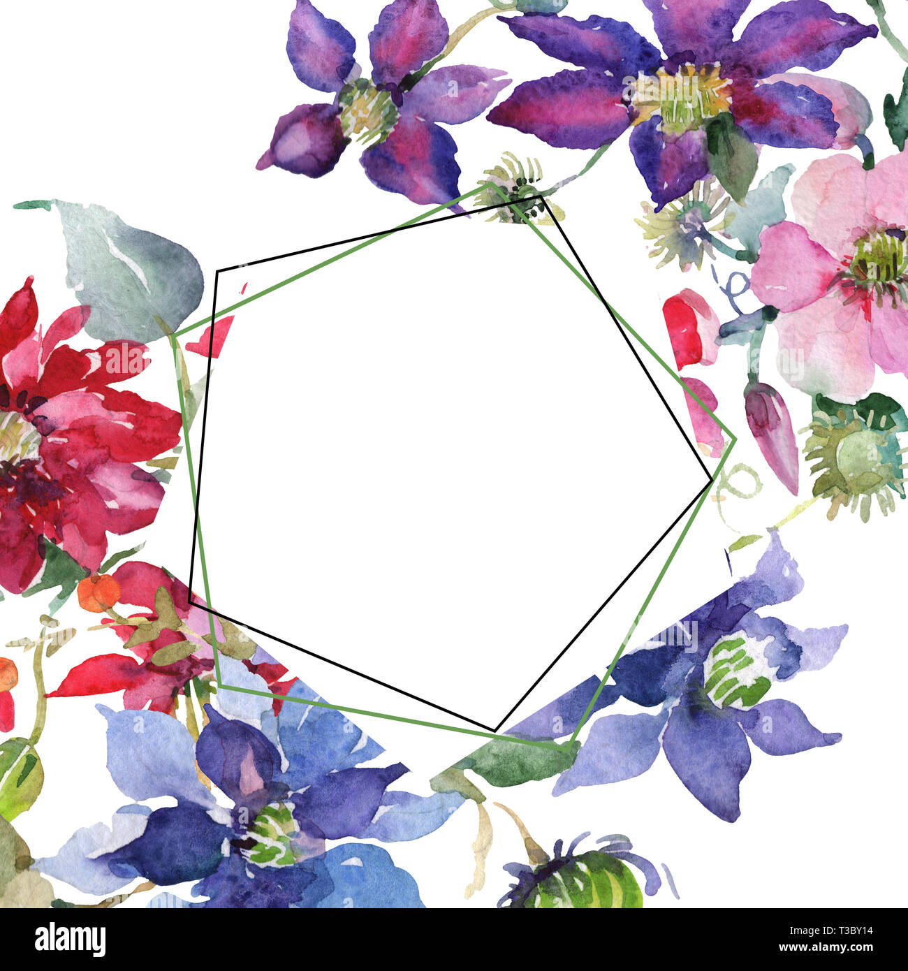 Clematis bouquet floral botanical flowers. Watercolor background ...