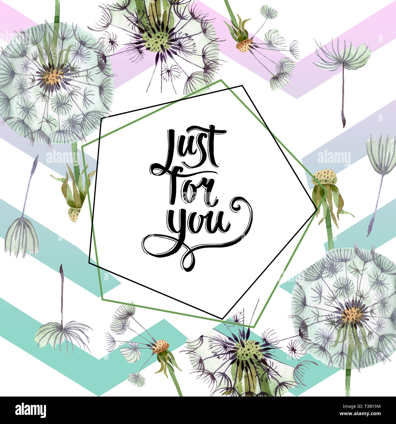 Dandelion blowball with seeds. Watercolor background illustration set ...