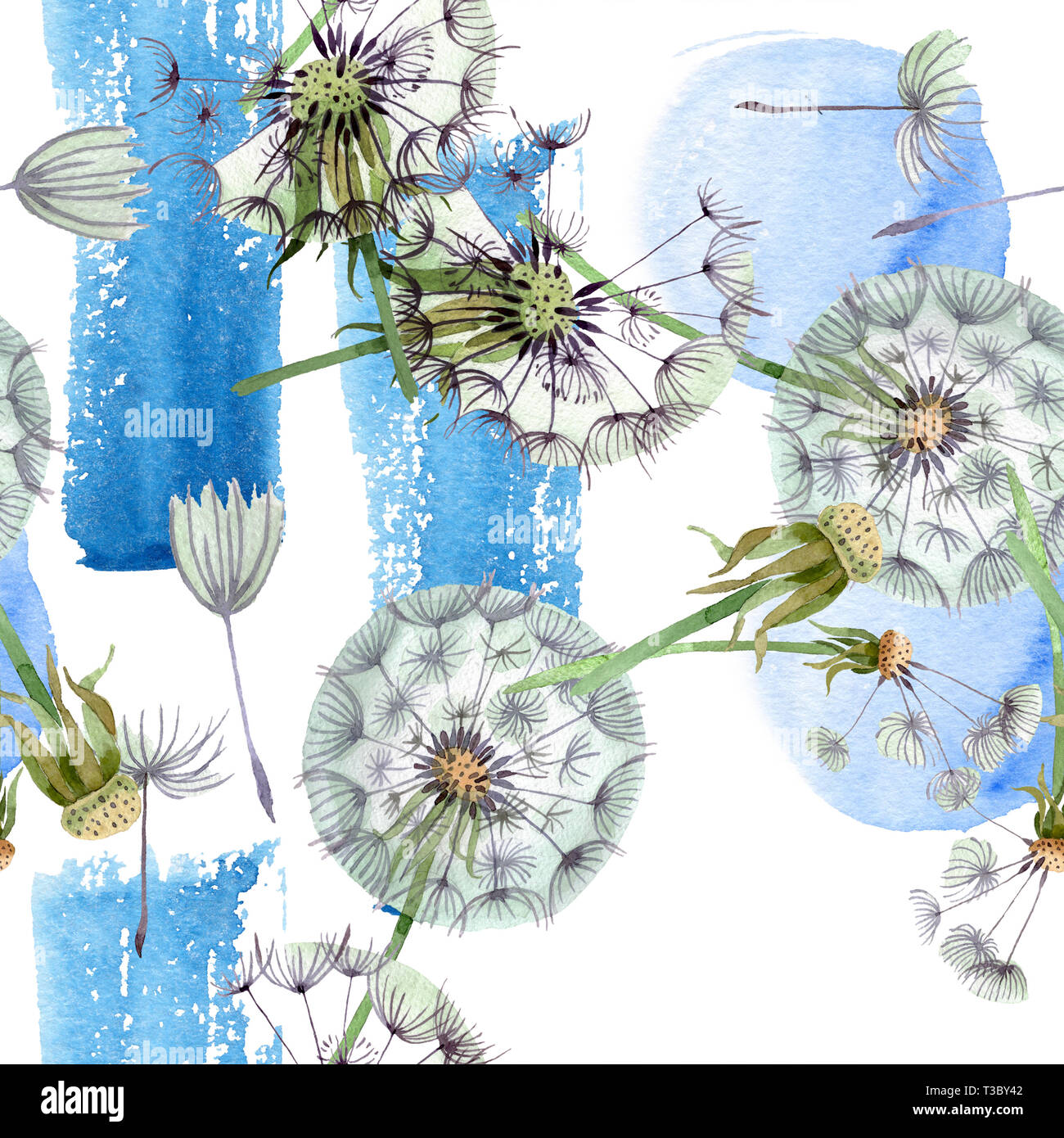 Dandelion blowball with seeds. Watercolor background illustration set ...