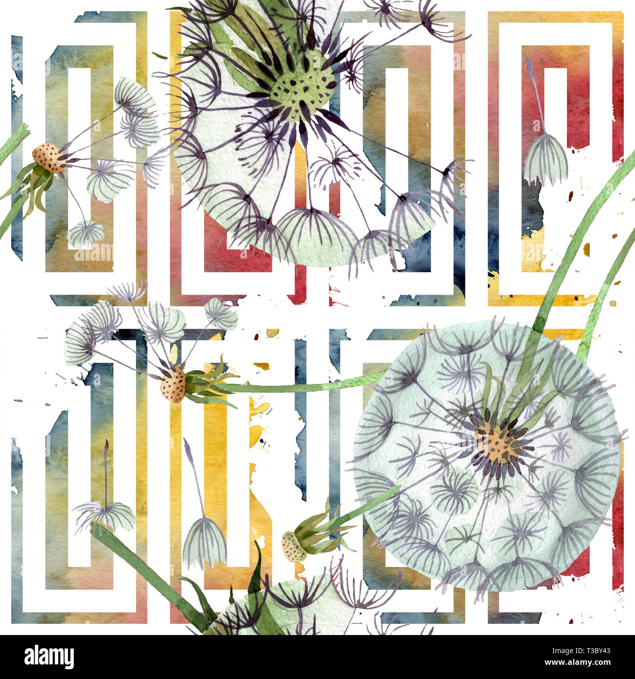 Dandelion blowball with seeds. Watercolor background illustration set ...