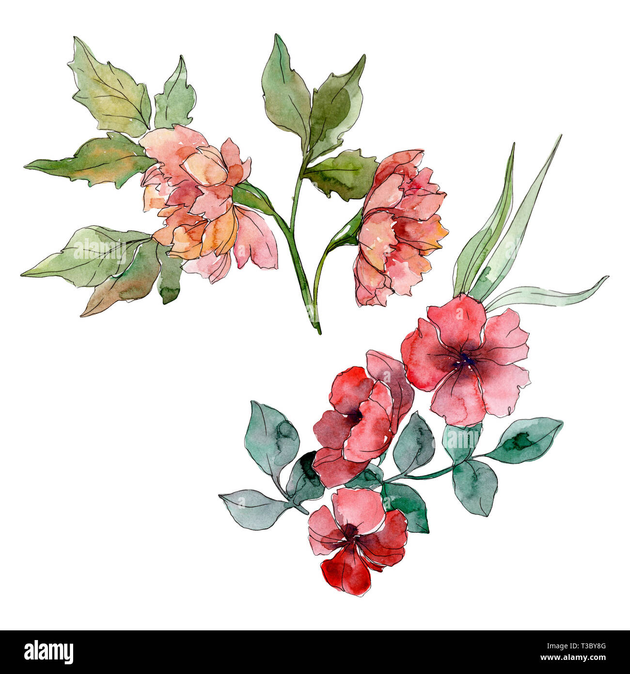 Tumblr Watercolour Flowers