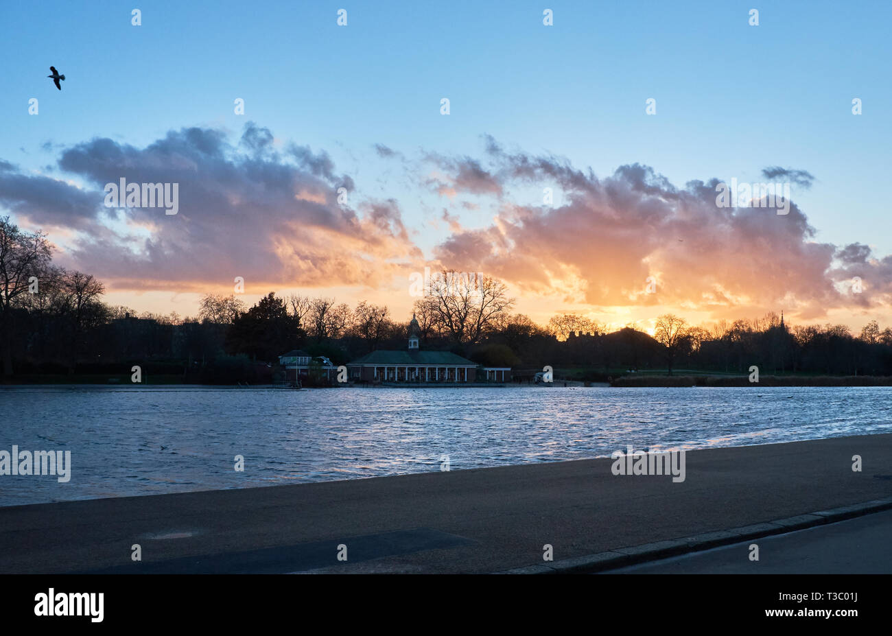 Kindon High Resolution Stock Photography and Images - Alamy