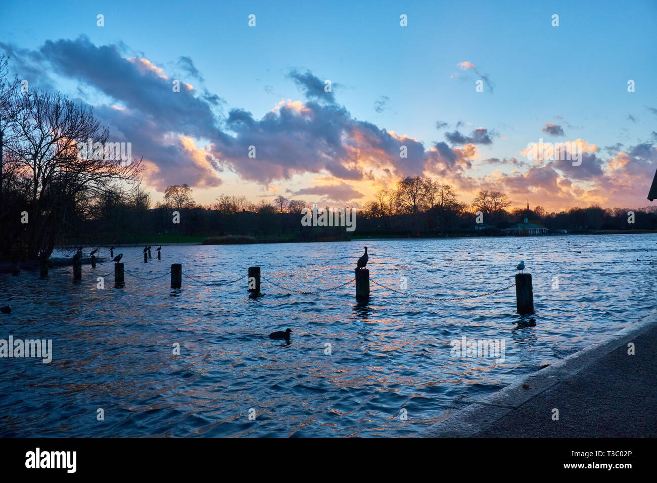 Kindon hi-res stock photography and images - Alamy