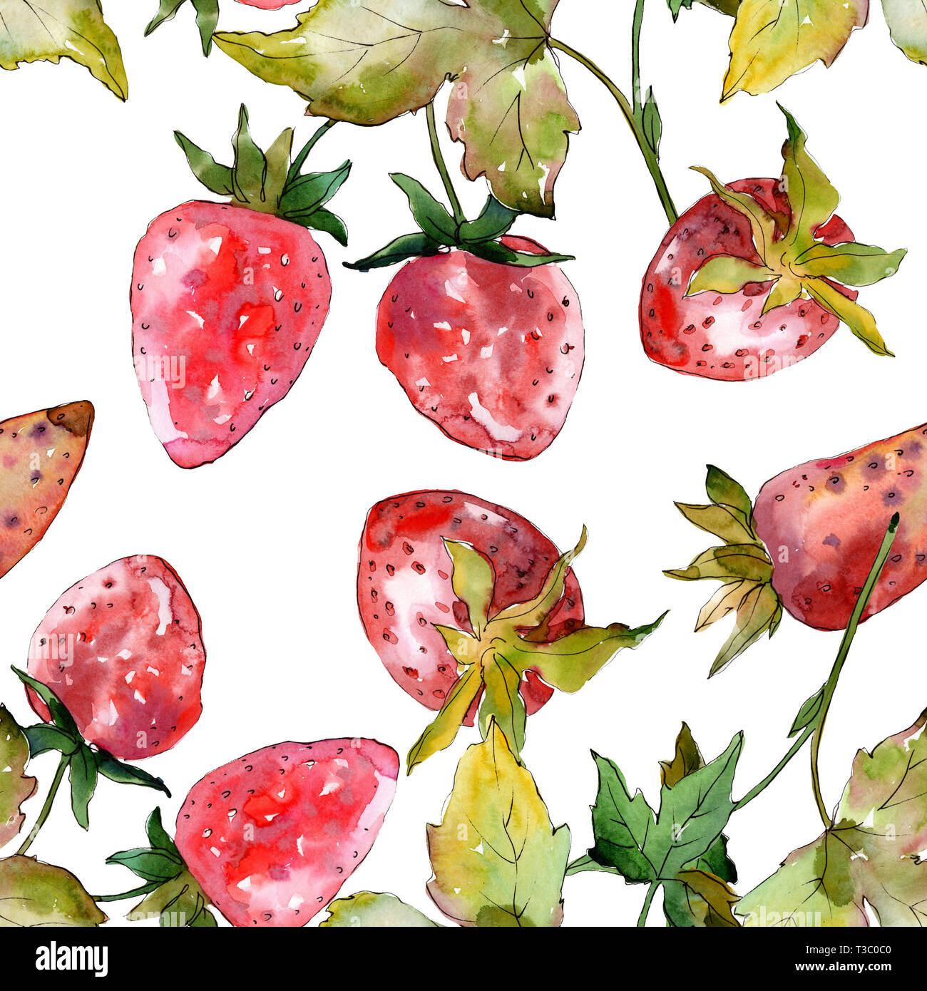 Strawberry healthy food isolated. Watercolor background illustration ...