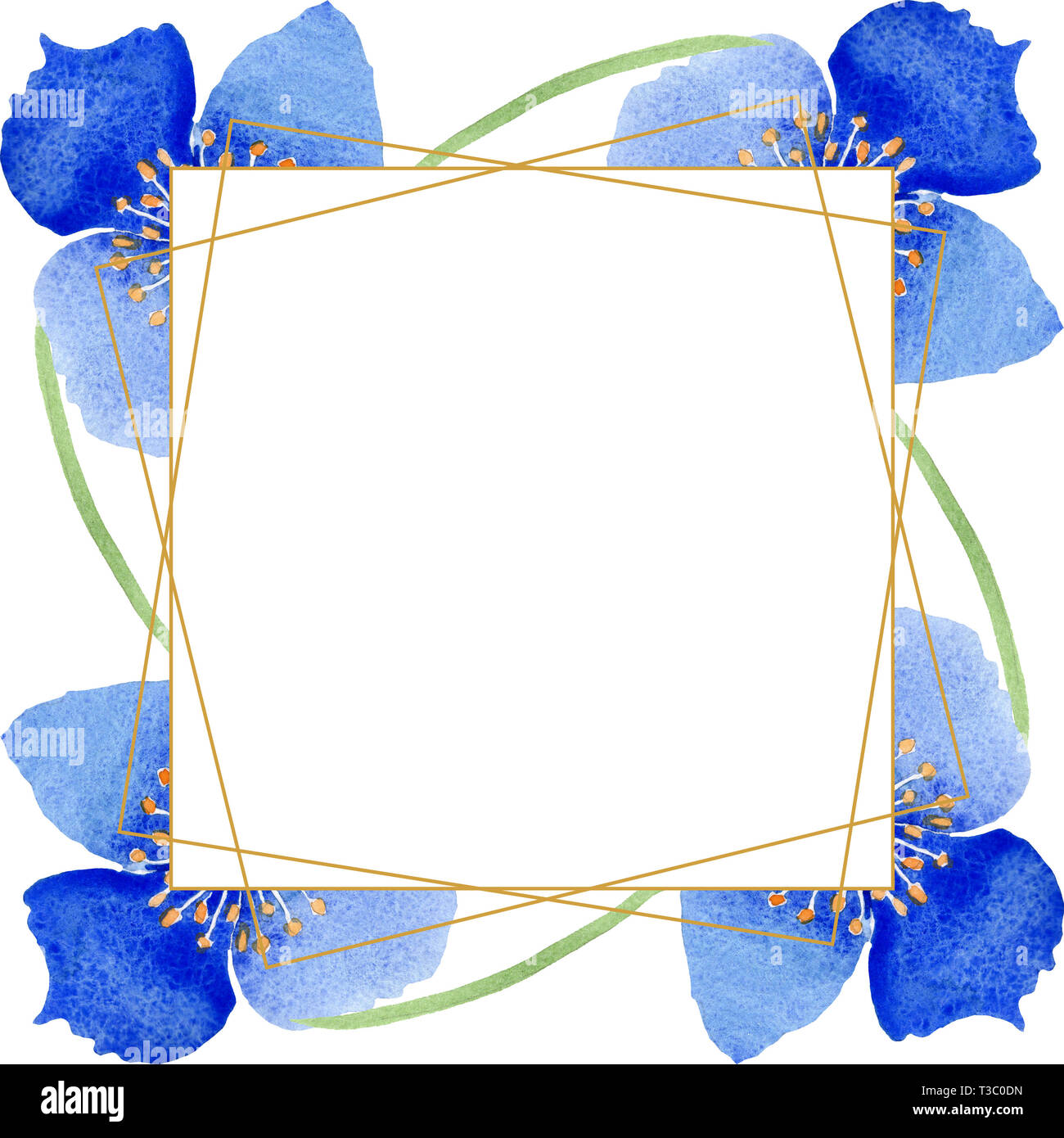 Blue poppy floral botanical flowers. Watercolor background illustration ...