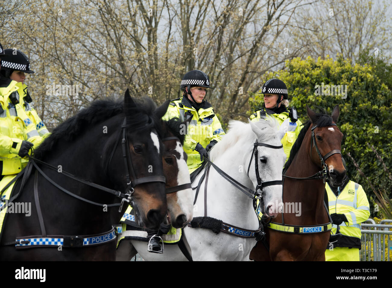 Mounted police control crowd hi-res stock photography and images - Alamy