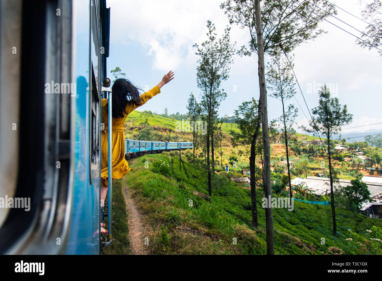Woman enjoying the train ride through Sri Lanka tea plantations Stock ...