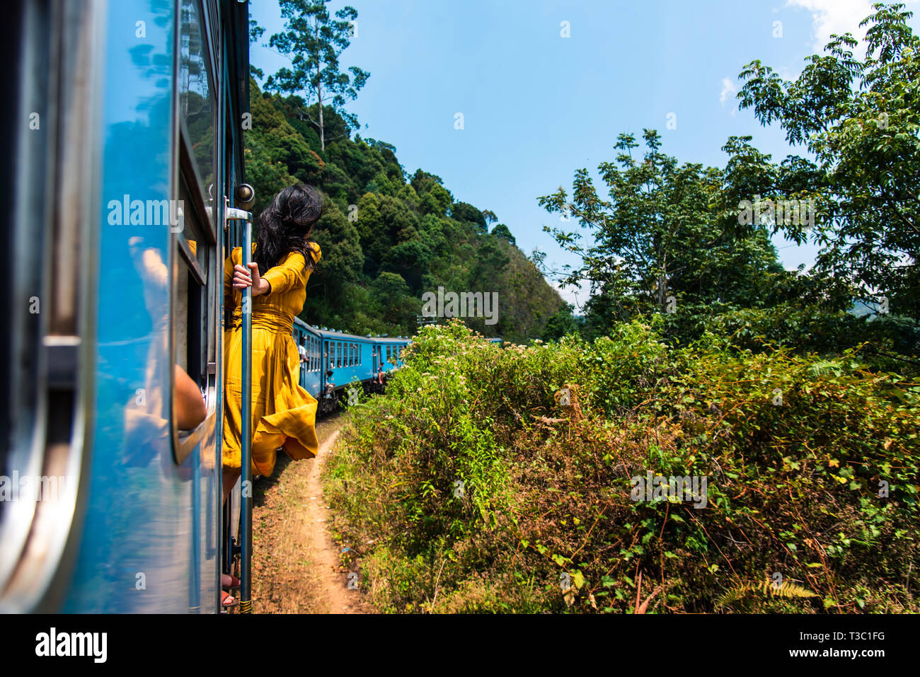 Woman enjoying the train ride through Sri Lanka tea plantations Stock ...