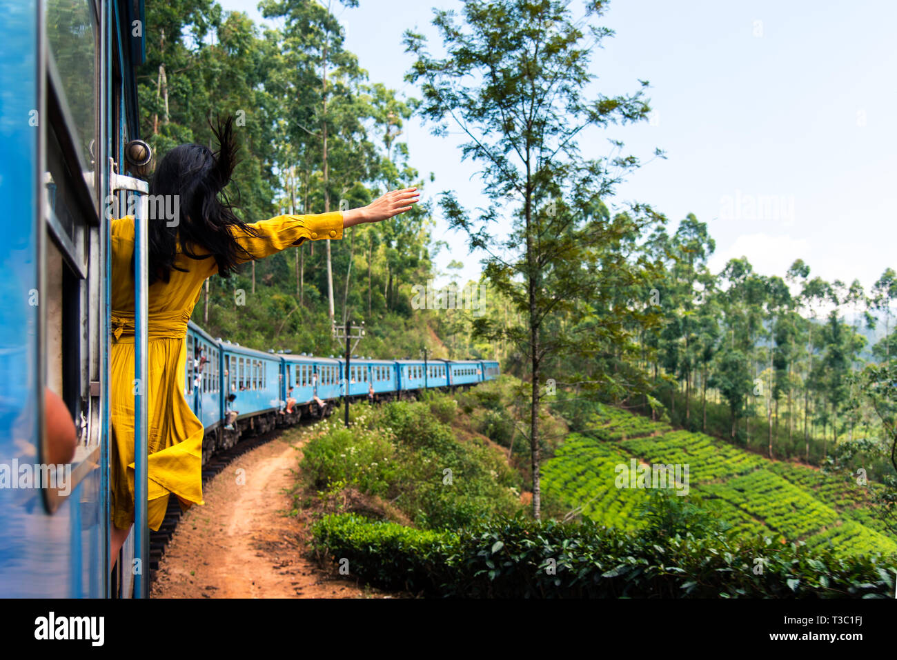 Woman enjoying the train ride through Sri Lanka tea plantations Stock ...