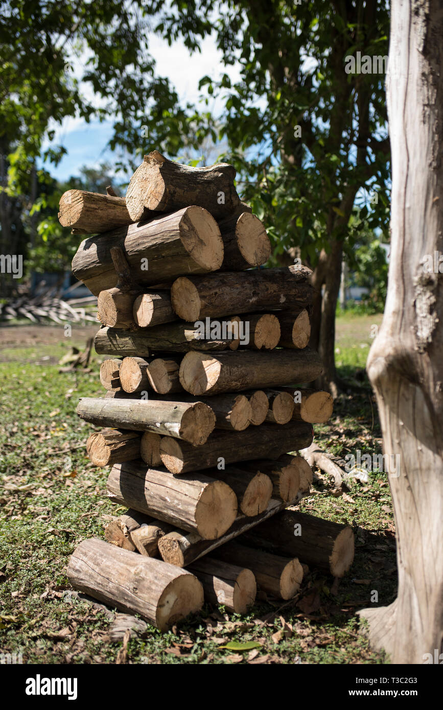 Teak Wood Trees High Resolution Stock Photography and Images - Alamy