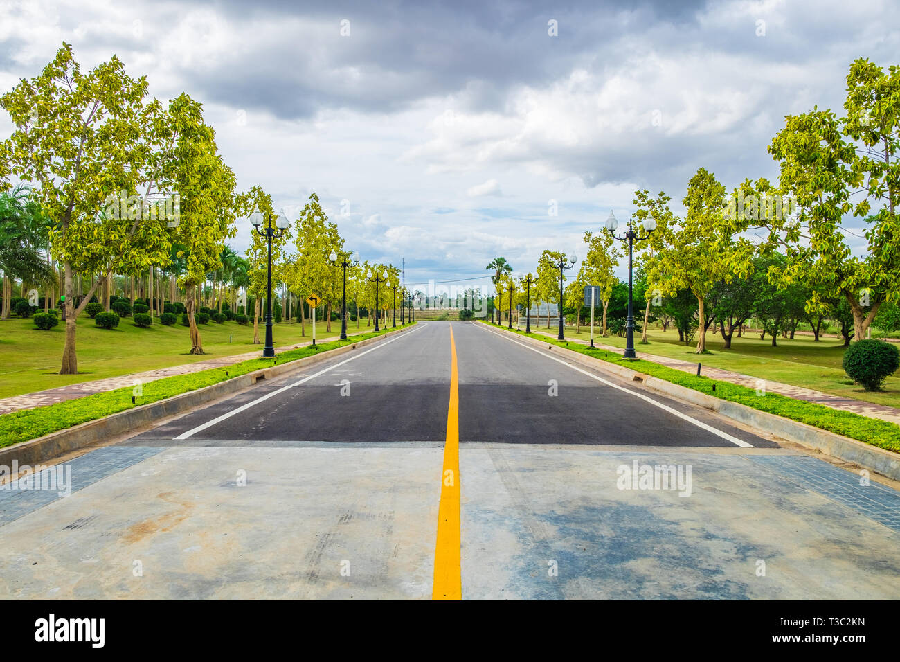 Road way with tree yellow and pole light orderly Stock Photo - Alamy