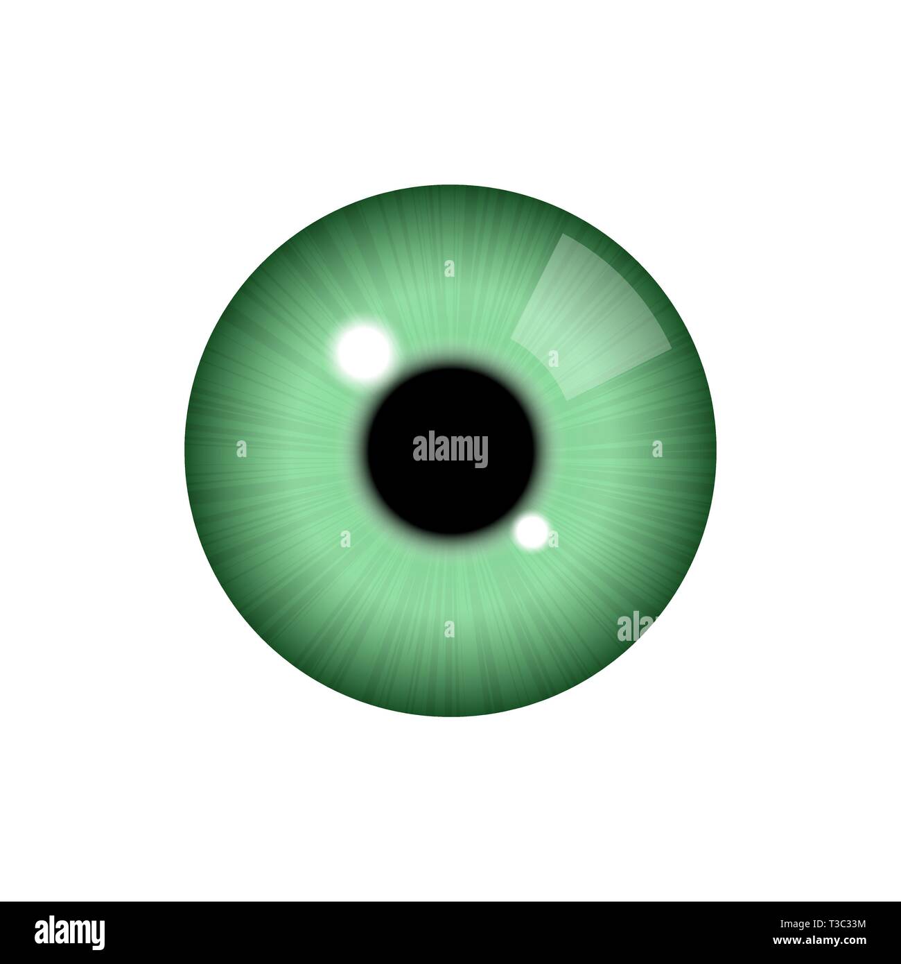 Pupil eye ball realistic Cut Out Stock Images & Pictures - Alamy