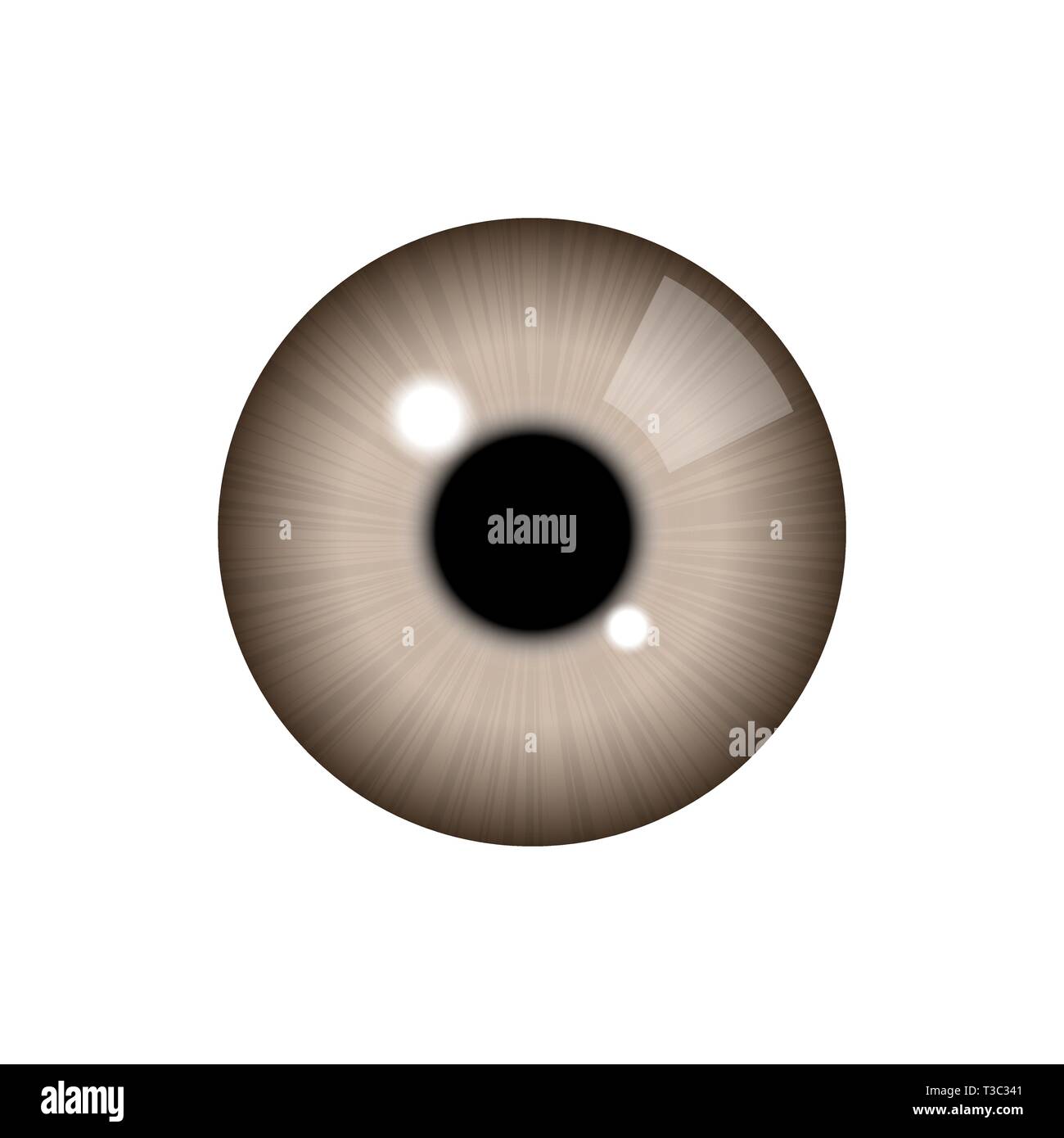 Realistic human eye on white background Stock Vector Image & Art - Alamy