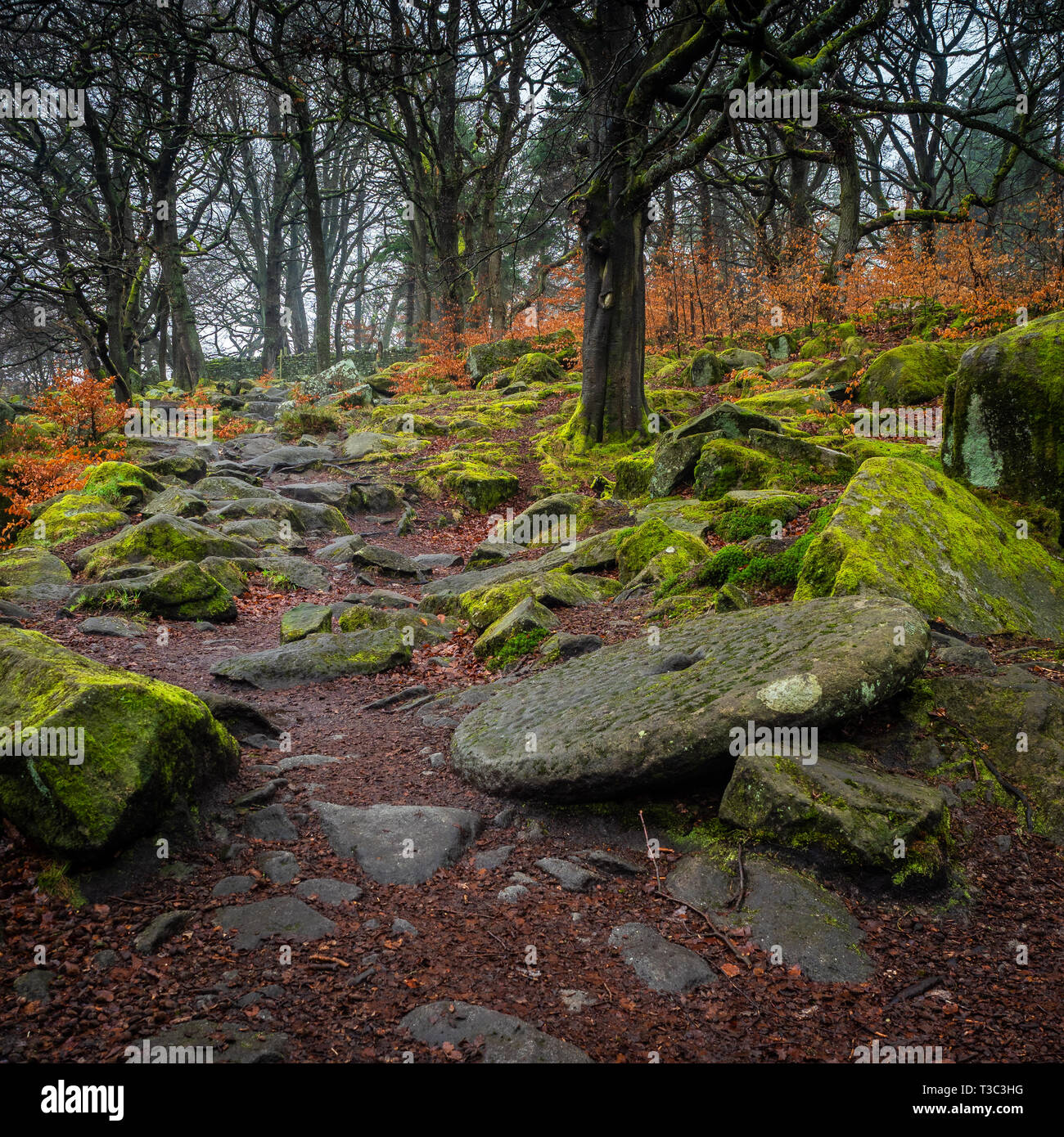 Millstone padley gorge hi-res stock photography and images - Alamy
