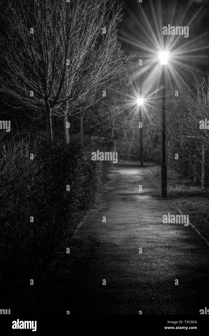 A monochrome view of a deserted path light by two streetlights at night ...