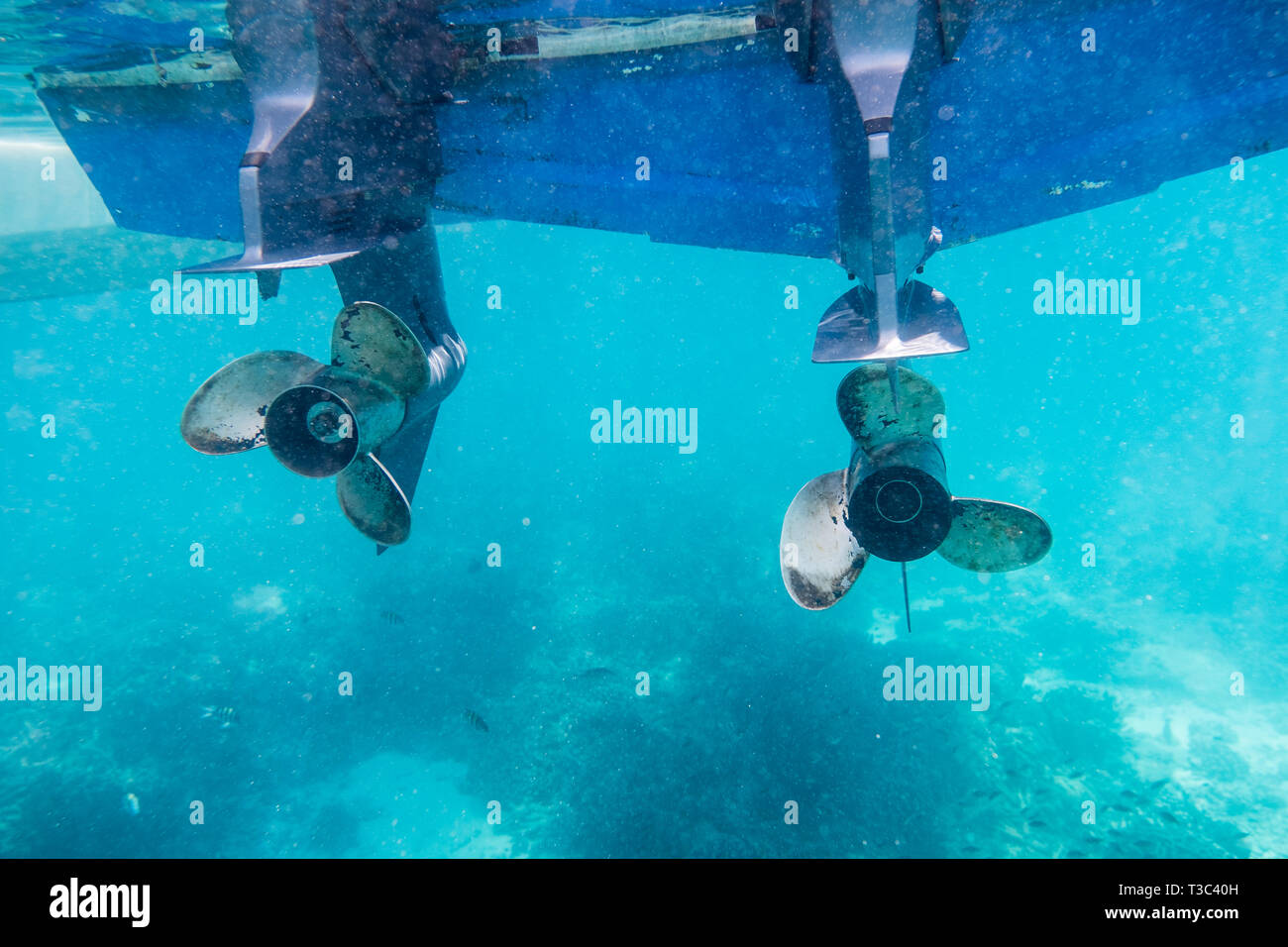 Engine speedboat propeller parked in the sea Stock Photo - Alamy