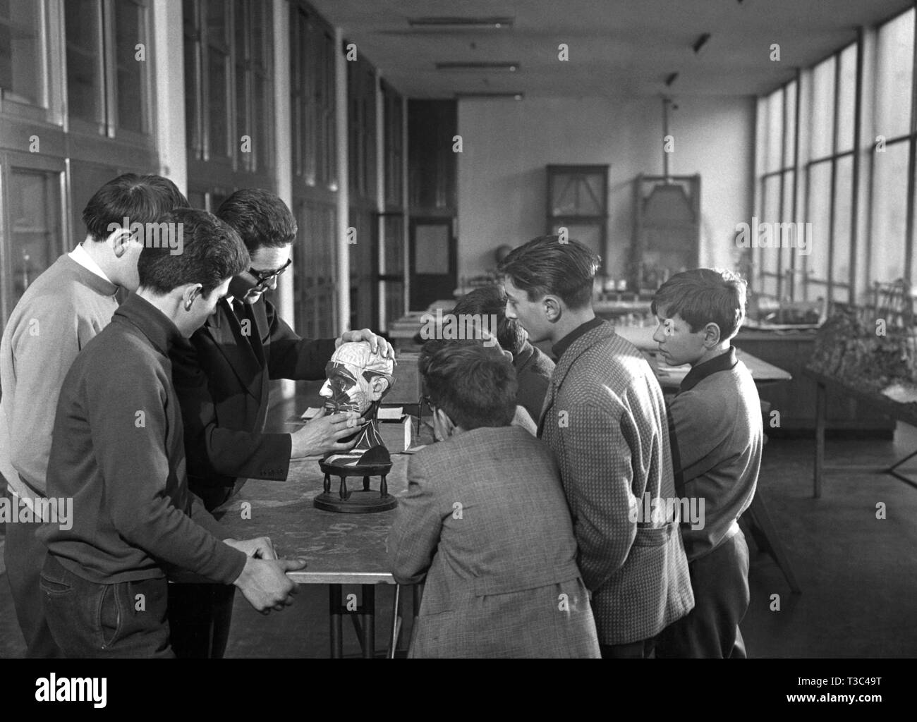 education, biology lesson, 1964 Stock Photo - Alamy