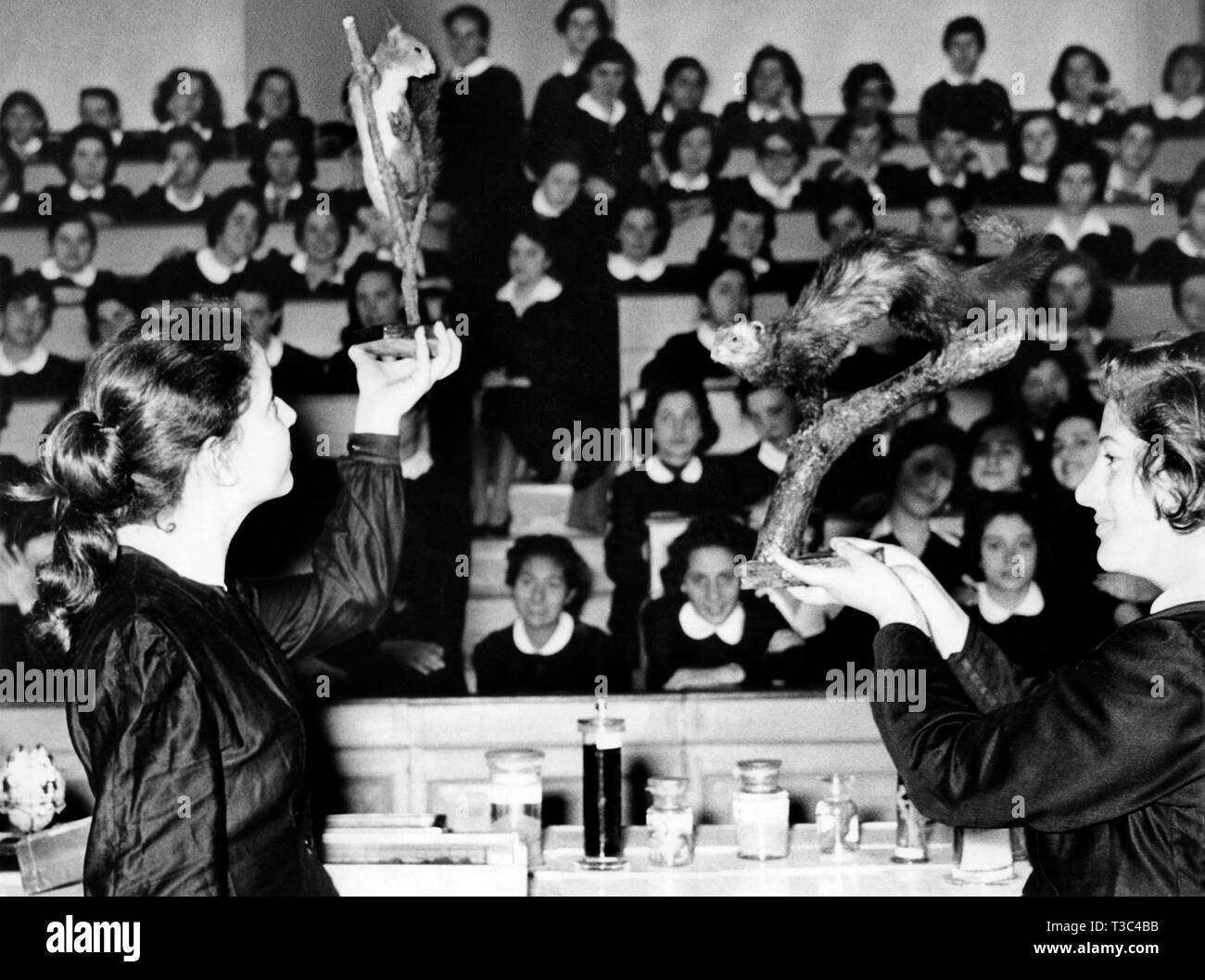 during a science lesson, 1960 Stock Photo - Alamy