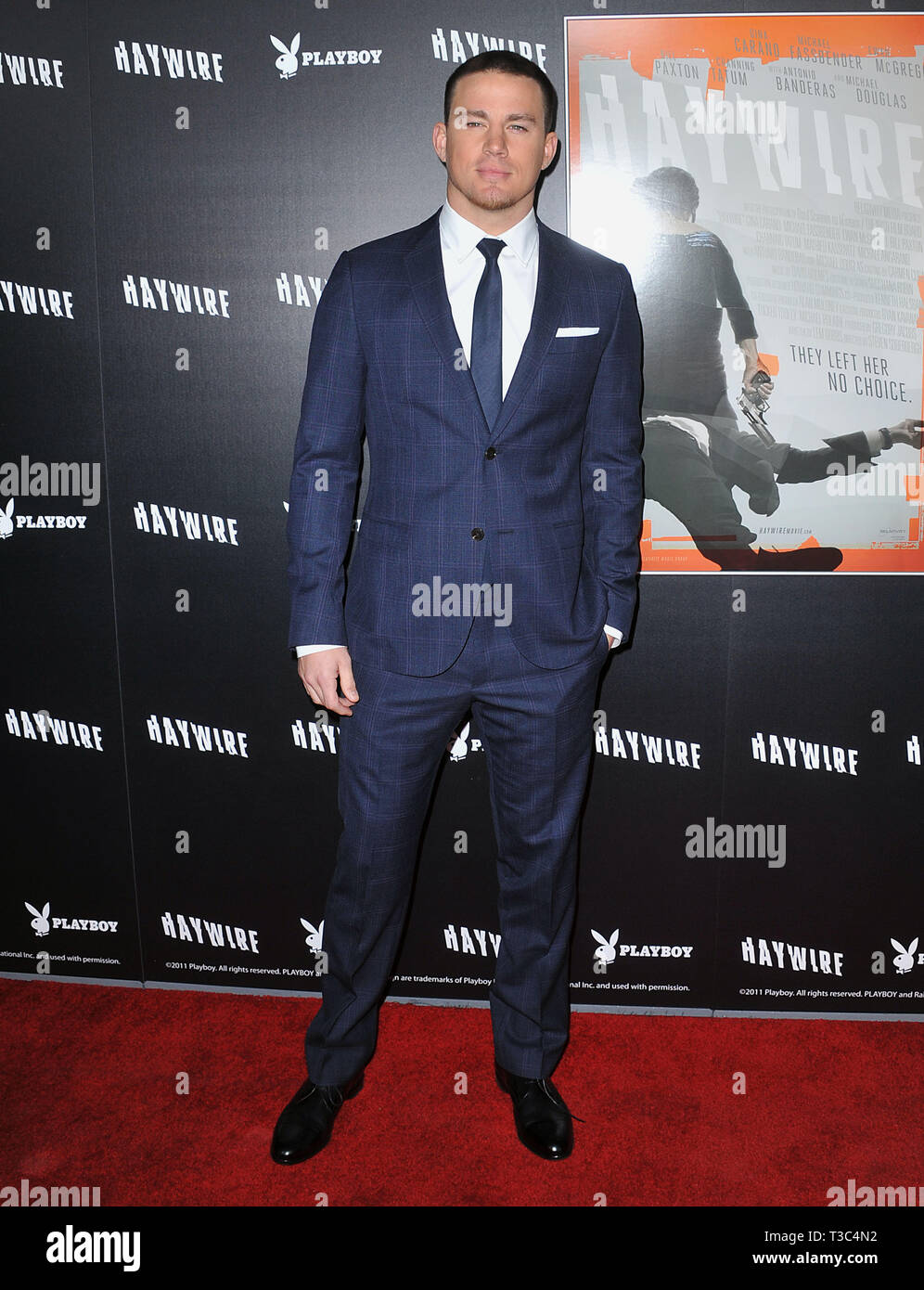 Channing tatum event in hollywood life california hi-res stock ...