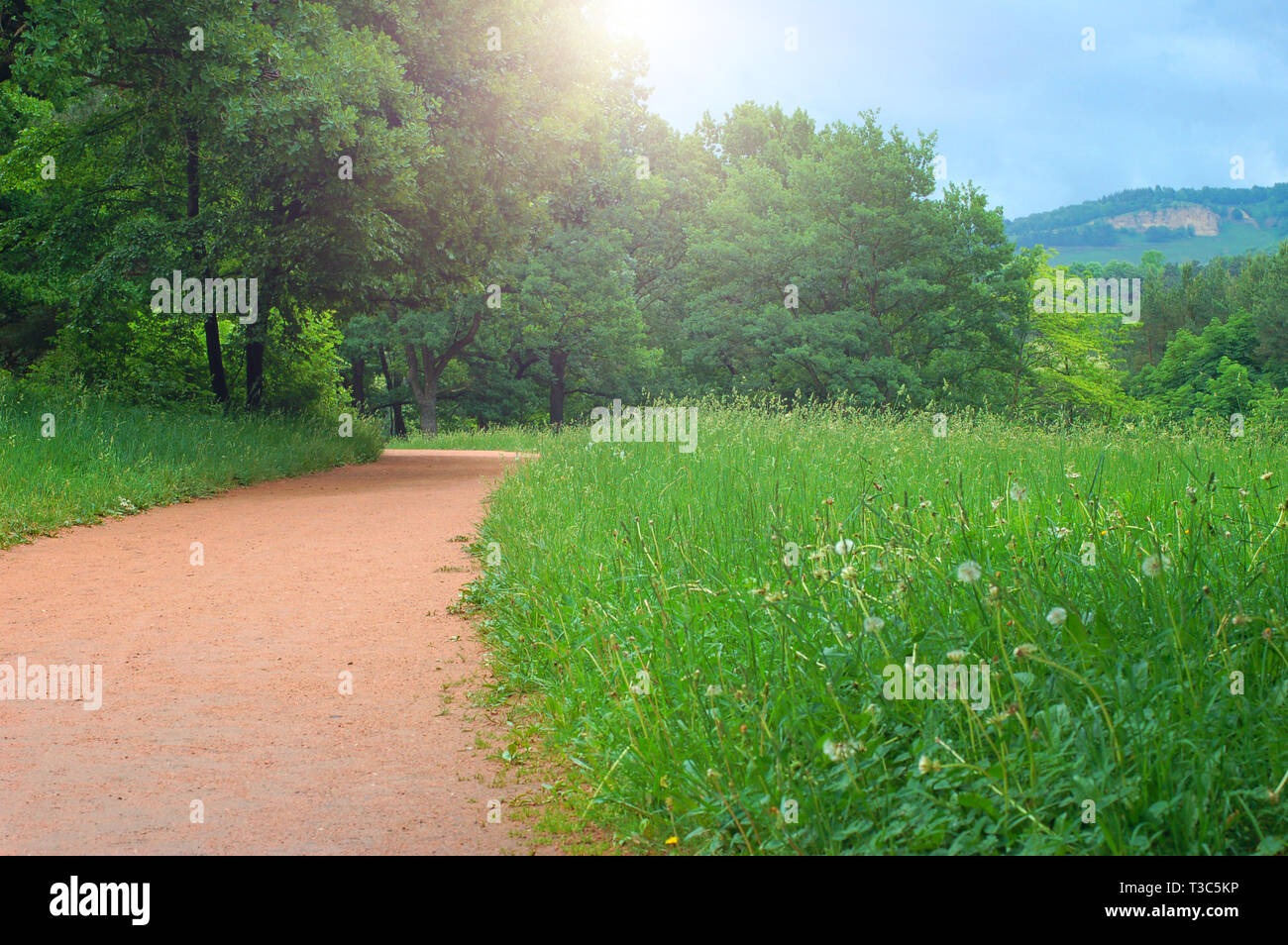 Park with pathway and trees Stock Photo - Alamy