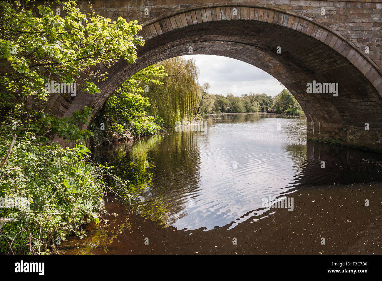 A scenic view of the River Tees at Yarm showing the bridge and tree ...