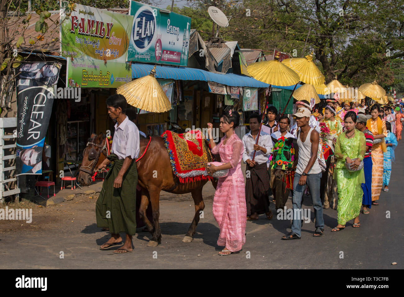 Traditional Buddhist Shinbyu procession for the initiation of all young ...