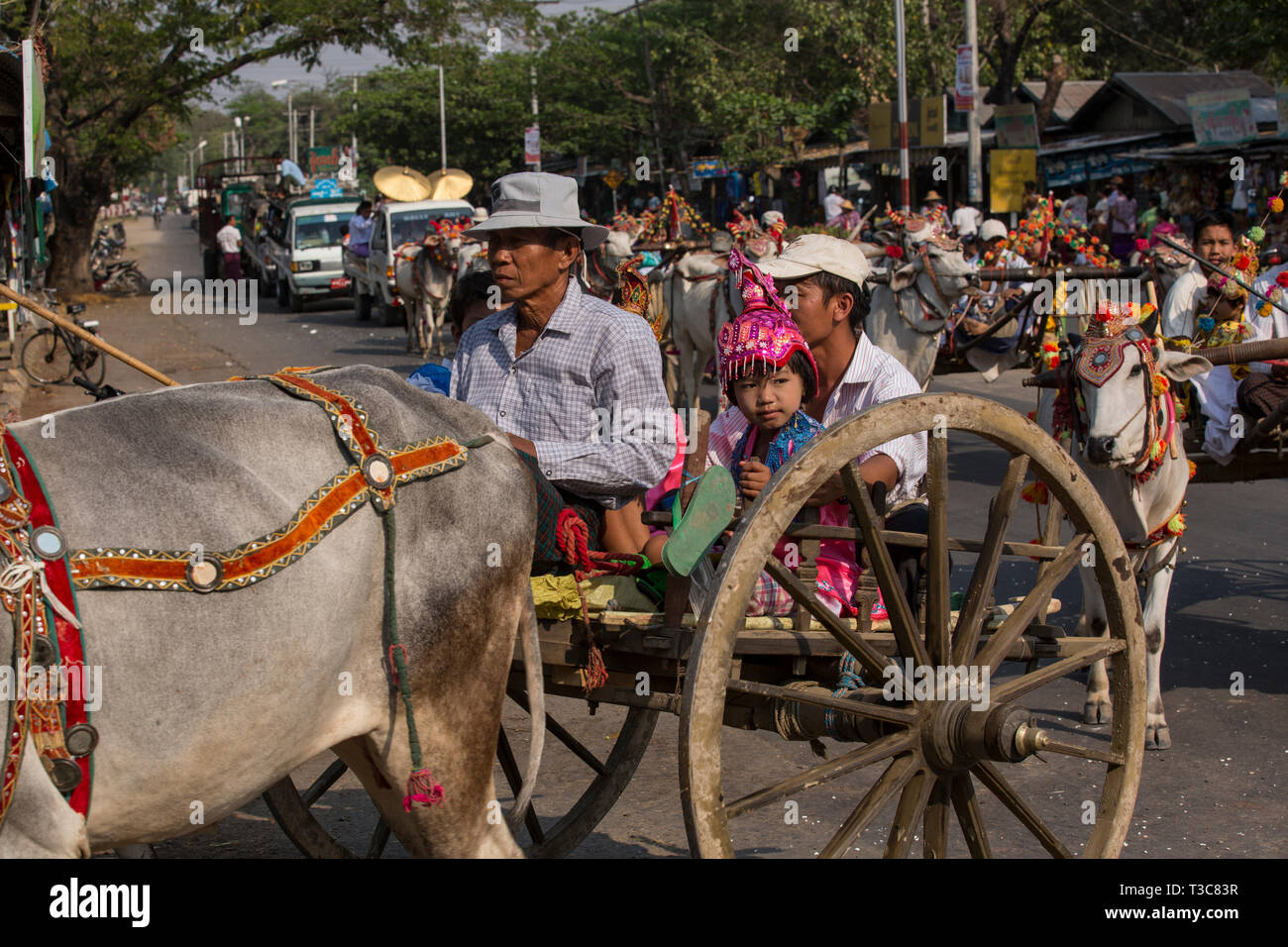 Traditional Buddhist Shinbyu procession for the initiation of all young ...