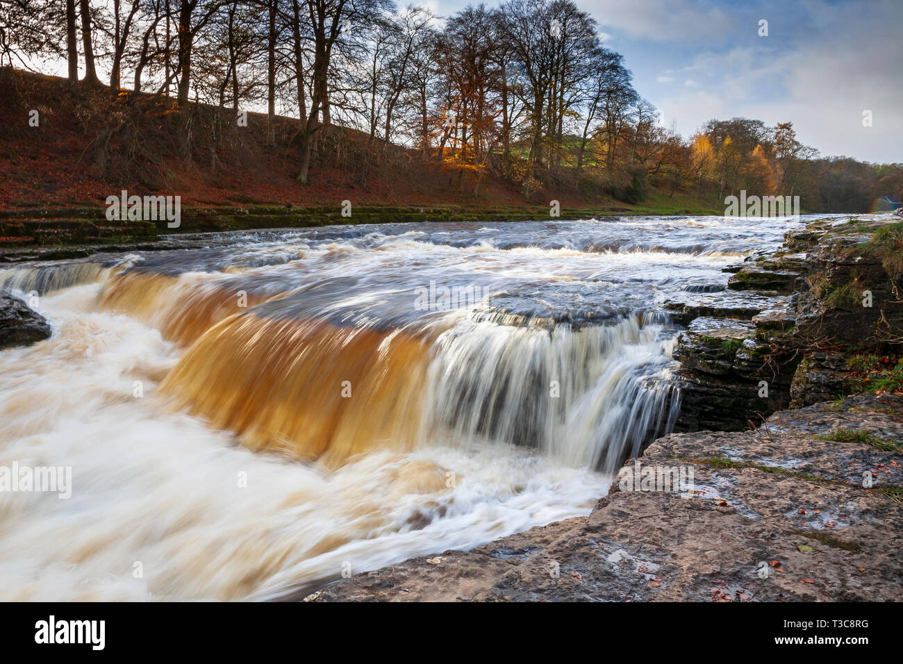 An autumn view of Aysgarth Falls in the Yorkshire Dales National Park ...