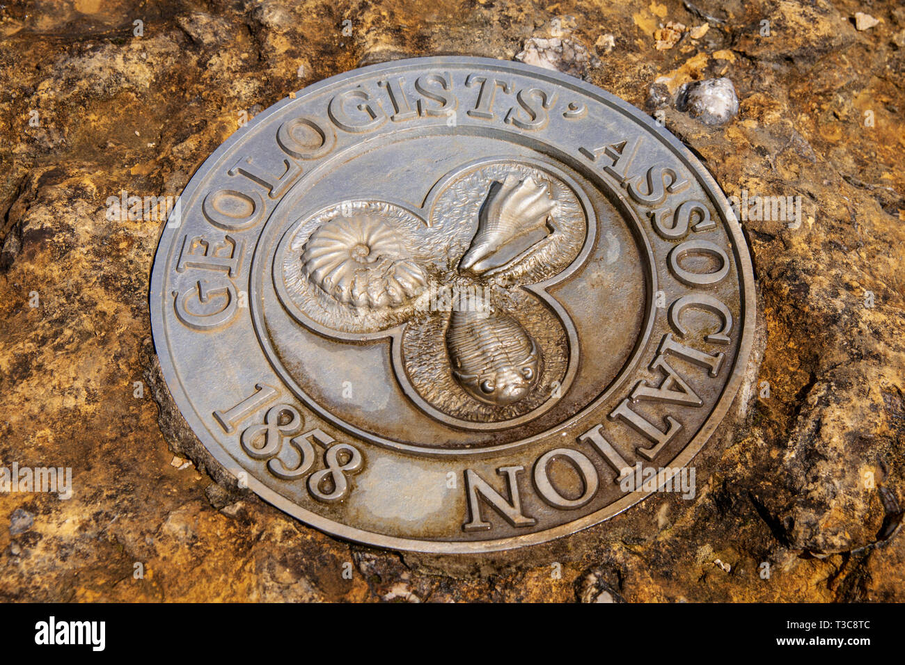Geologists association hi-res stock photography and images - Alamy