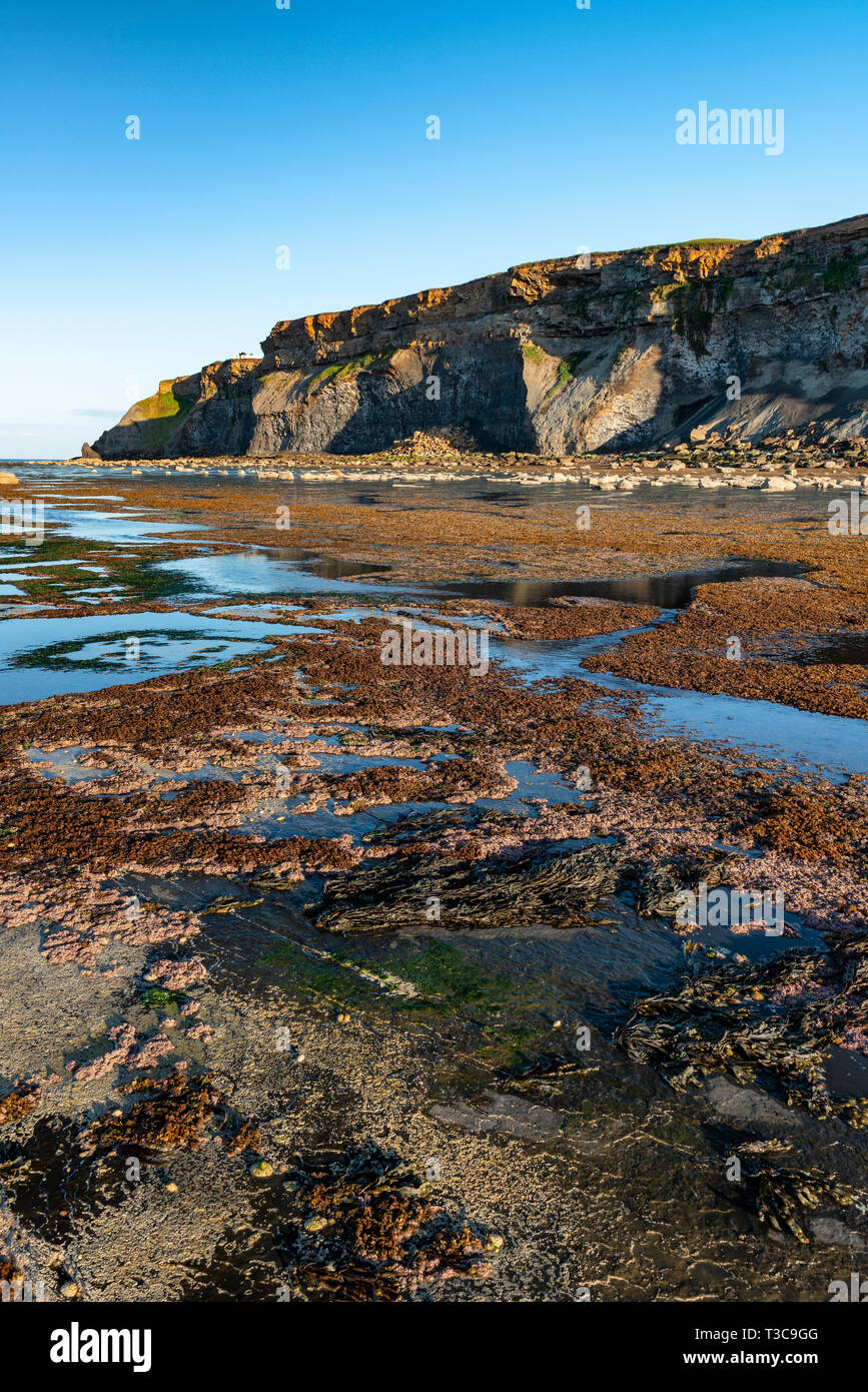 Whitby rock hi-res stock photography and images - Alamy