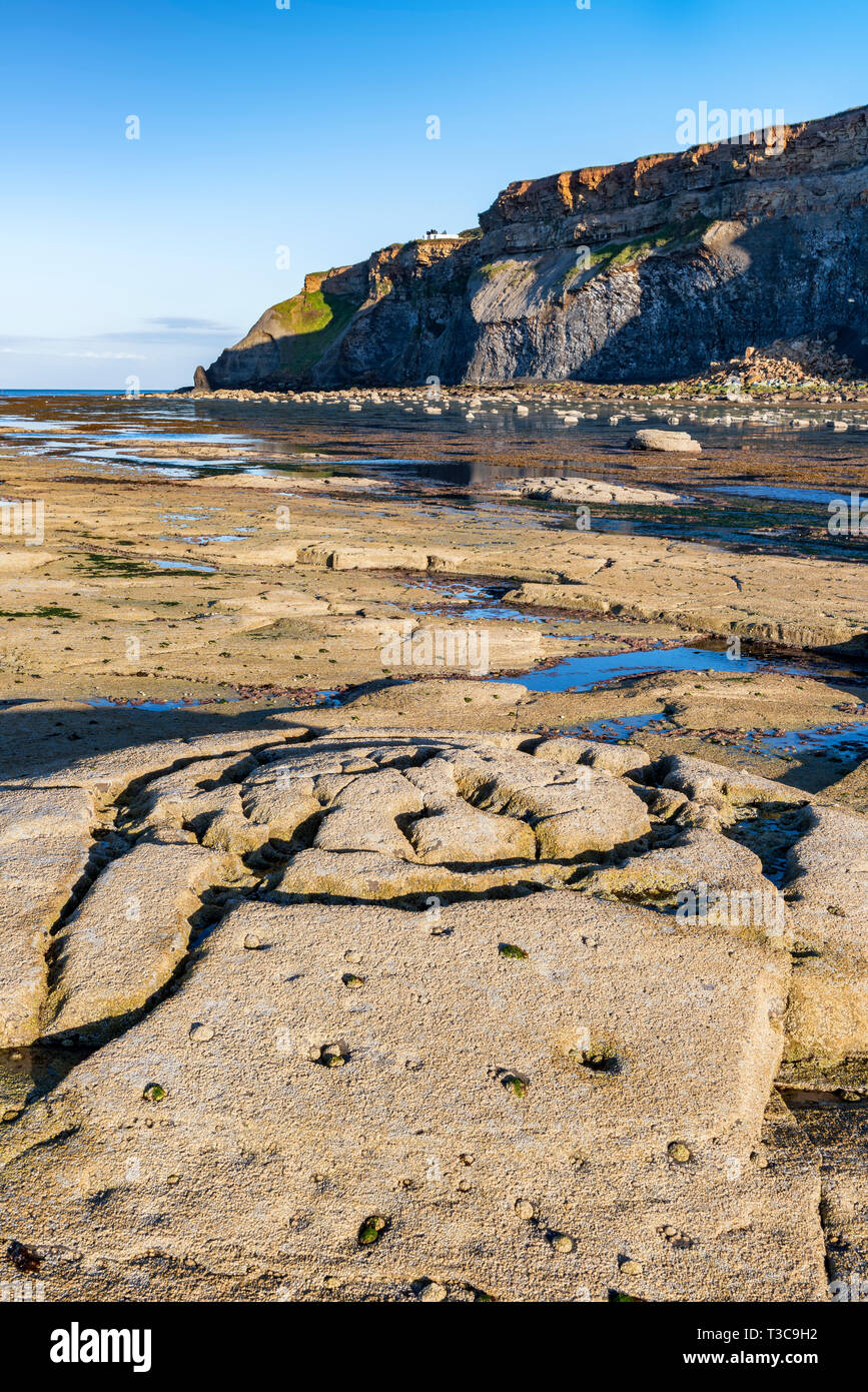 Shield reefs at Saltwick Bay, Whitby Stock Photo - Alamy