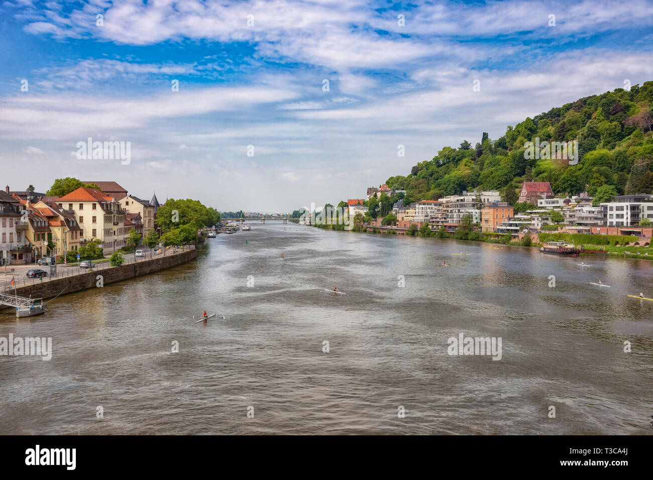Heidelberg neckar river hi-res stock photography and images - Alamy